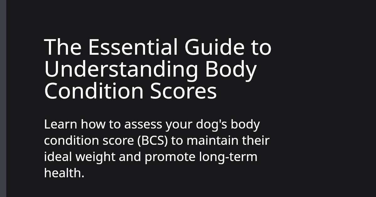 The Essential Guide to Understanding Body Condition Scores | OhMyDog EDU