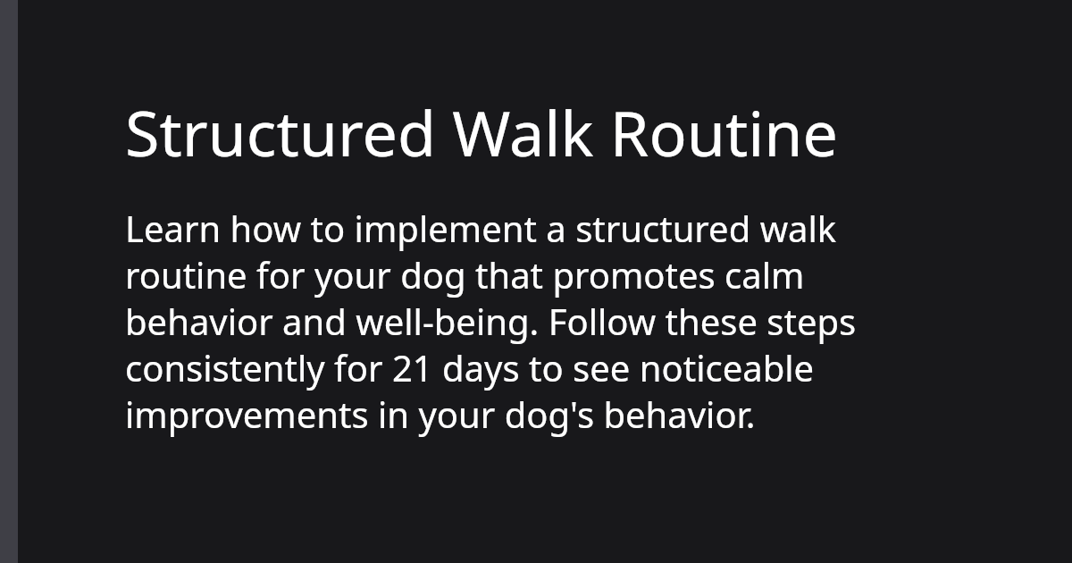 Structured Walk Routine | OhMyDog EDU